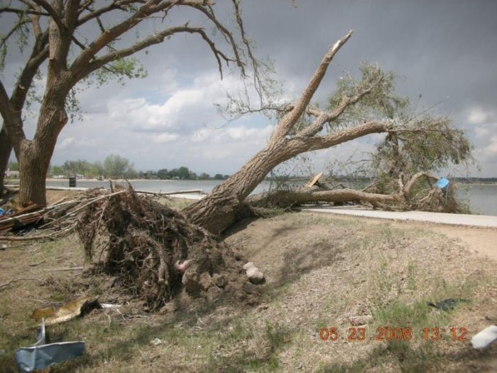 Vegetation Management - ASDSO Dam Safety Toolbox