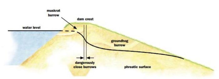 Inspections of Embankment Dams - ASDSO Dam Safety Toolbox